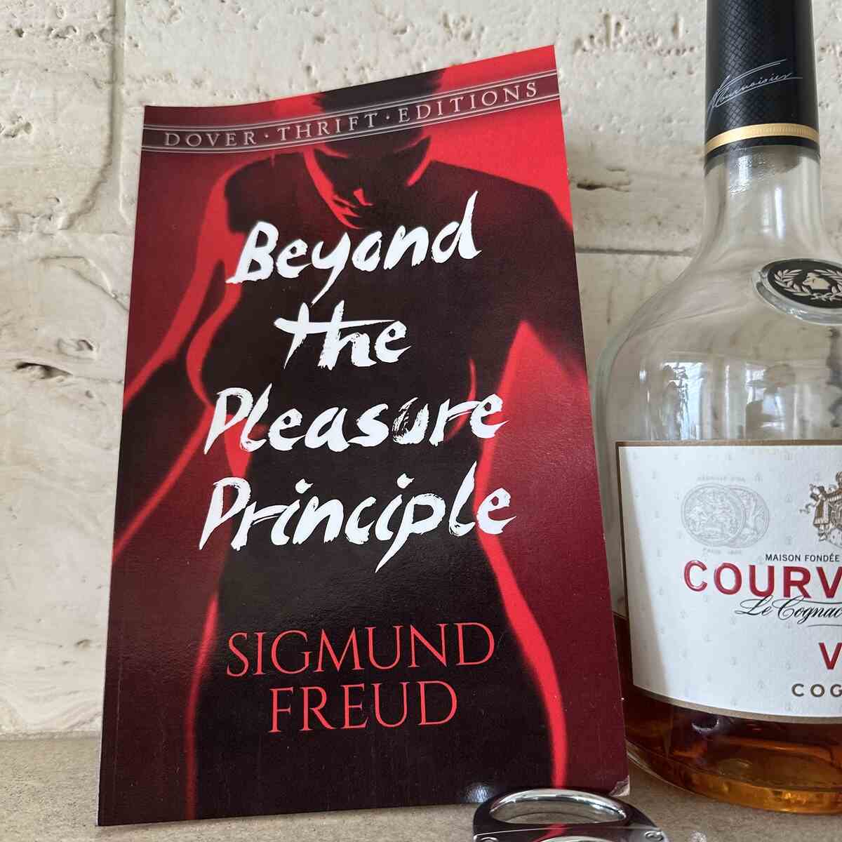 Quotes from Freud’s Beyond the Pleasure Principle – Bored Absurdist